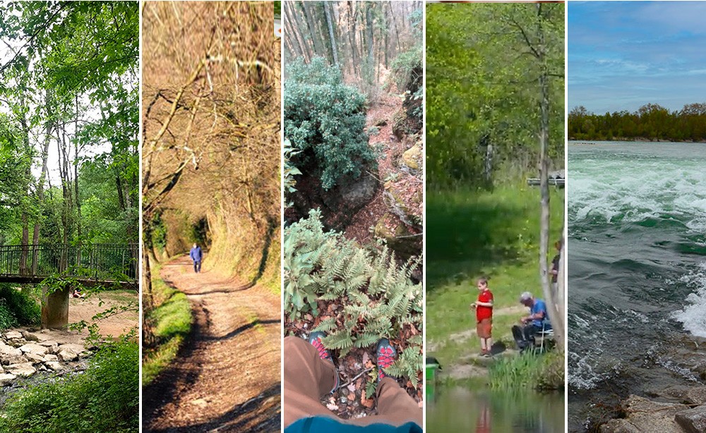 5 nouvelles balades nature à moins de 10km de Lyon