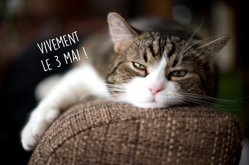 Dans ton canap' : 10 trucs cool à faire ce week-end à la maison