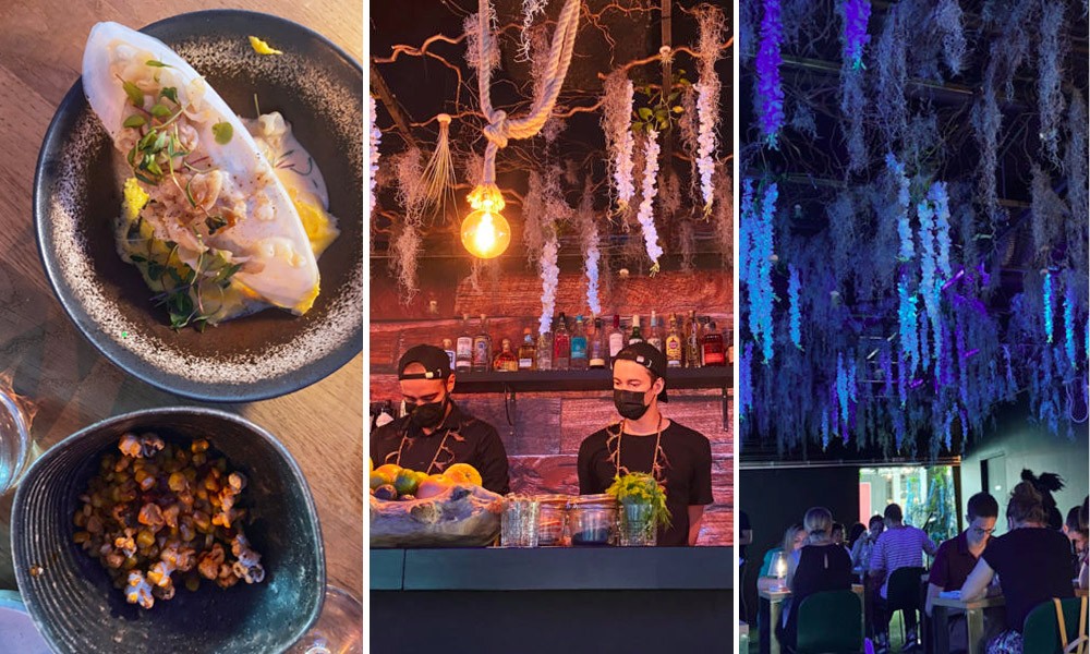 On a testé : Athera, le restaurant inspiré du film Avatar