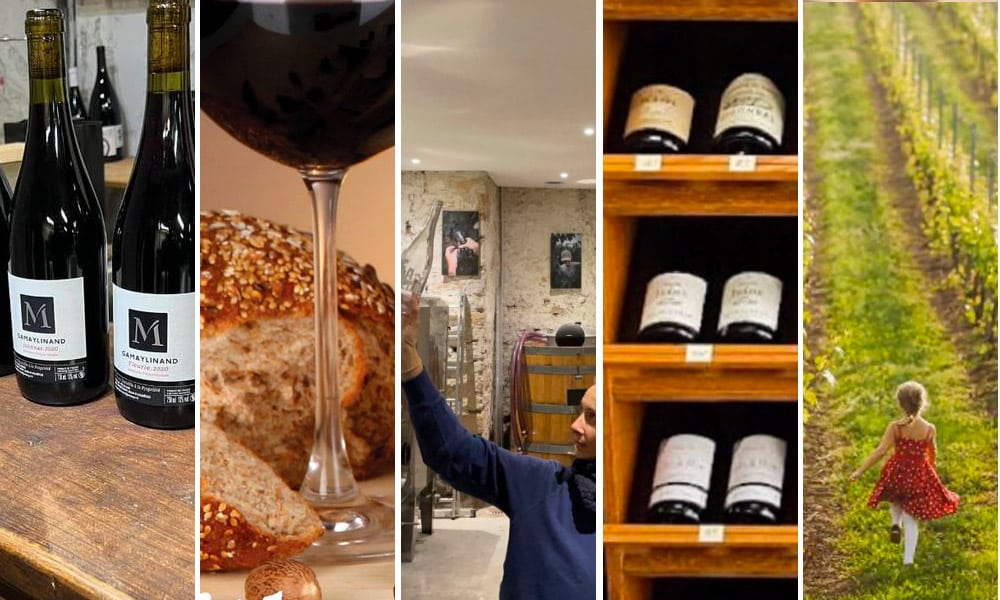 Super canon : les 8 évènements autour du vin à ne pas rater en février ...