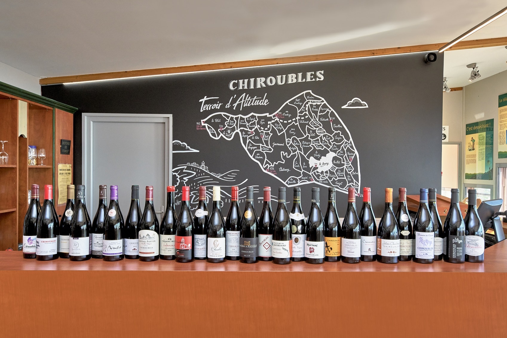 Balade super canon autour de Lyon : les vignobles du Cru Chiroubles
