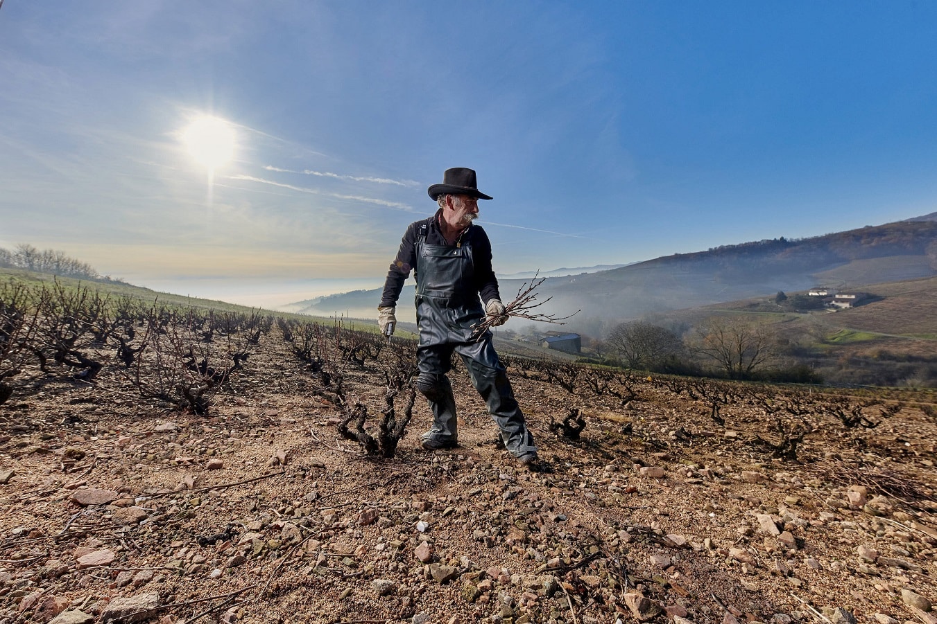 Balade super canon autour de Lyon : les vignobles du Cru Chiroubles
