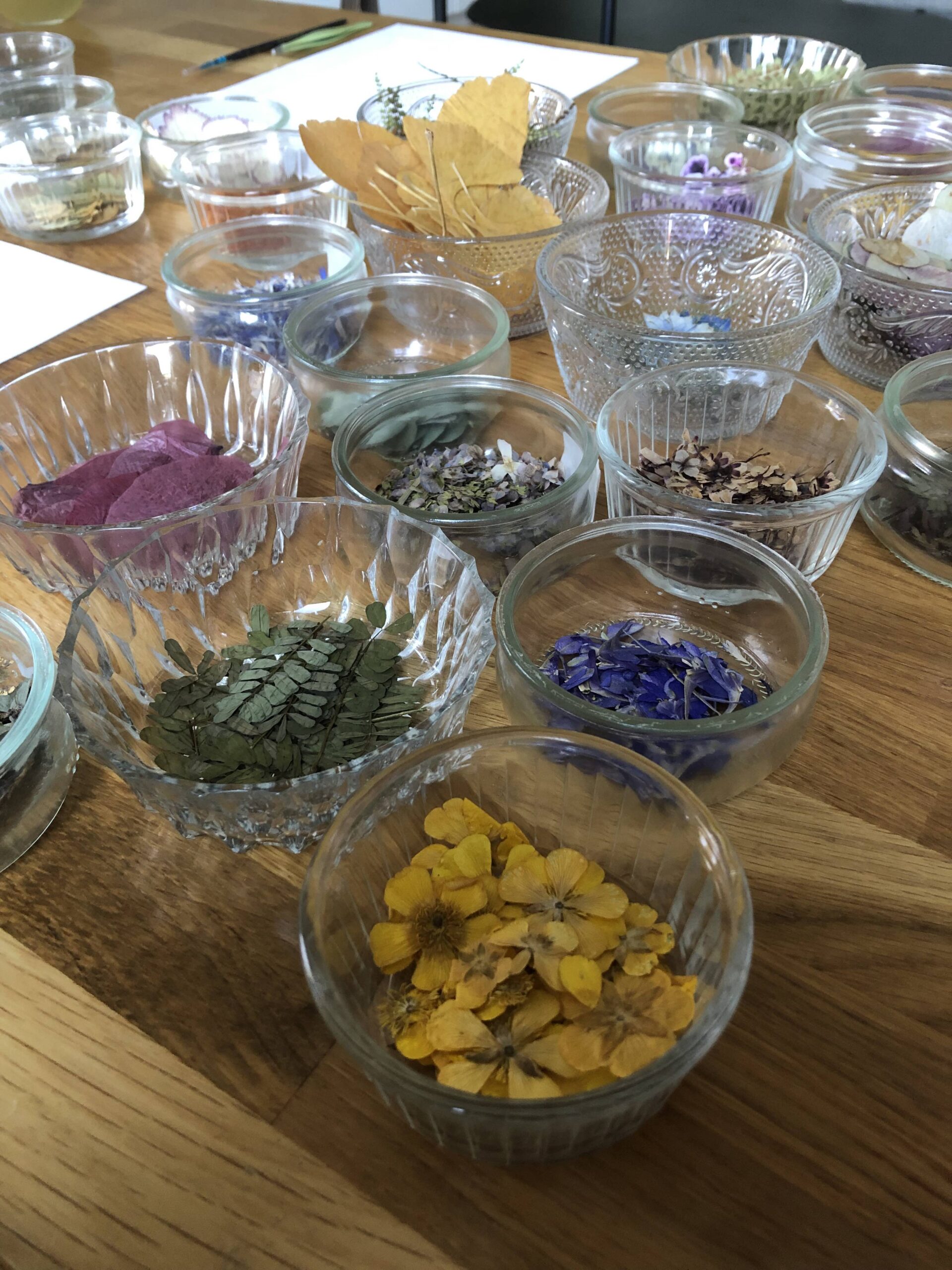 On a testé : un atelier pour créer son herbier avec Herbae Atelier