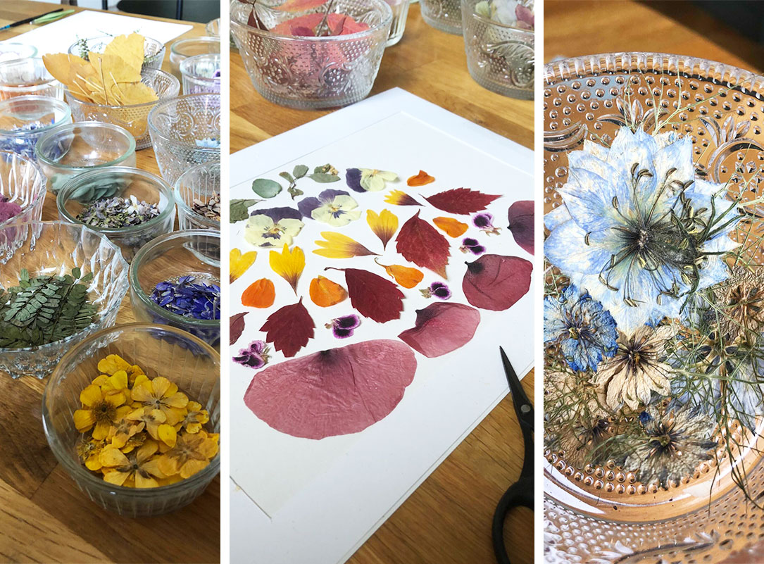 On a testé : un atelier pour créer son herbier avec Herbae Atelier