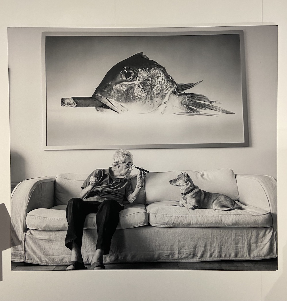 On a vu : l'exposition Elliott Erwitt à la Sucrière de Lyon